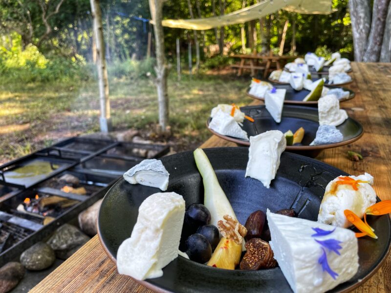 Cheese & Farm Experience - Betygsätt & läs omdömen